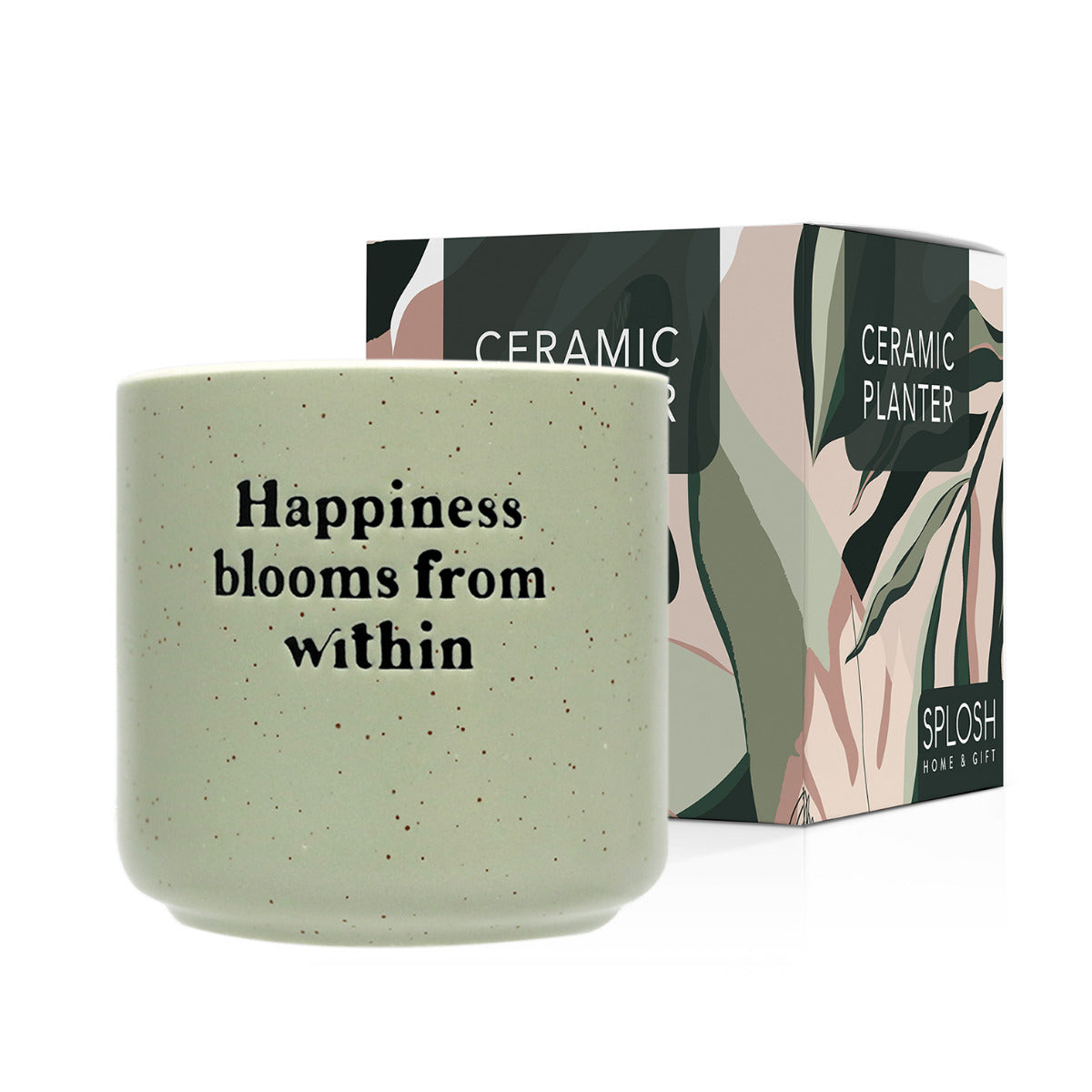 Buy SPLOSH - Bloom Positive Pot Buy Gift, Clothing, Footwear ...